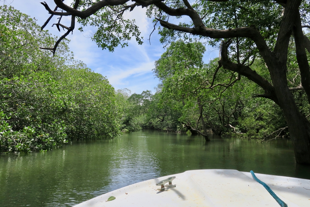 Conozcamos la vertiente del Caribe – Club8030